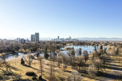 Parker, CO Limited Representation Lawyer | Palmer Family Law